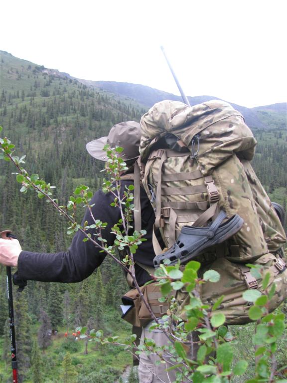 BC Hunting Blog | BC Hunting News & Information