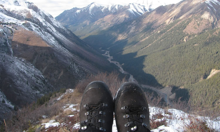 BC Hunting Blog | BC Hunting News & Information